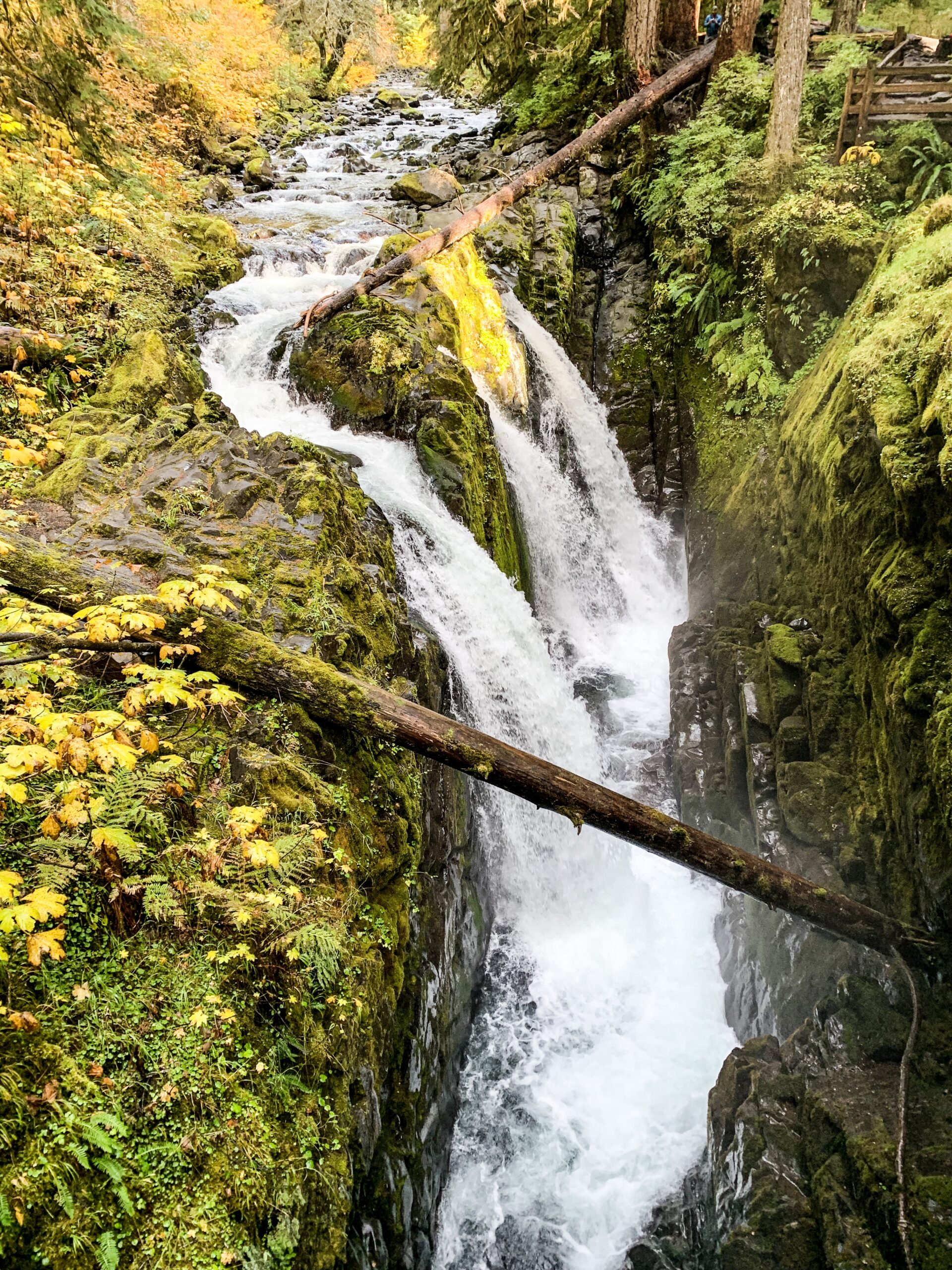 Top 10 Waterfall Hikes near Seattle for Families - Simply Otte